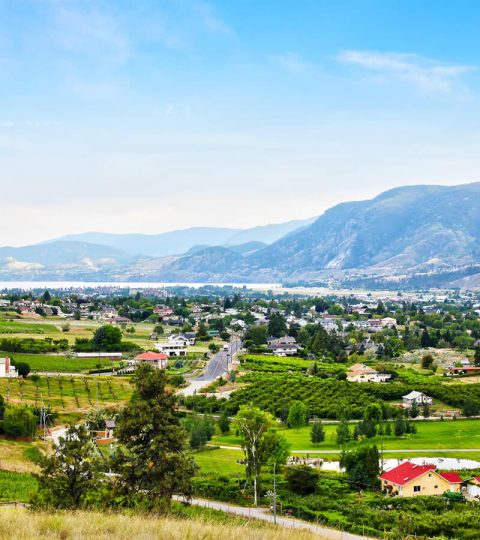 About - Okanagan Mental Health Services Society